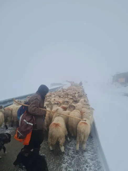 VIDEO: Transalpina, sub nămeți de peste un metru. Drumarii acționează ...